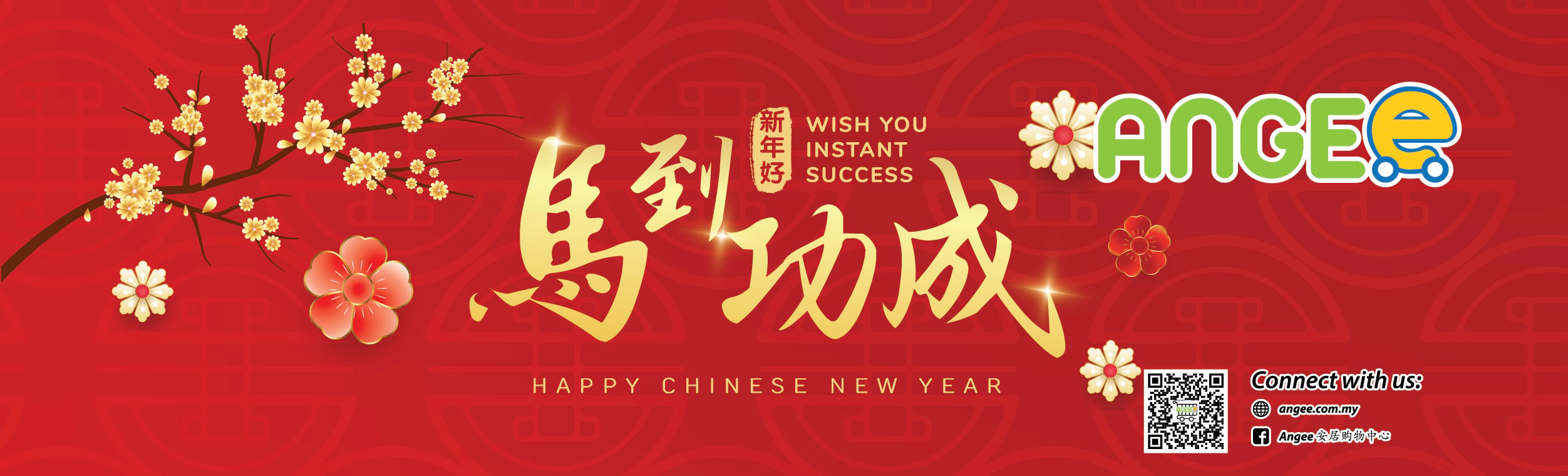 January Special Promotion – Angee